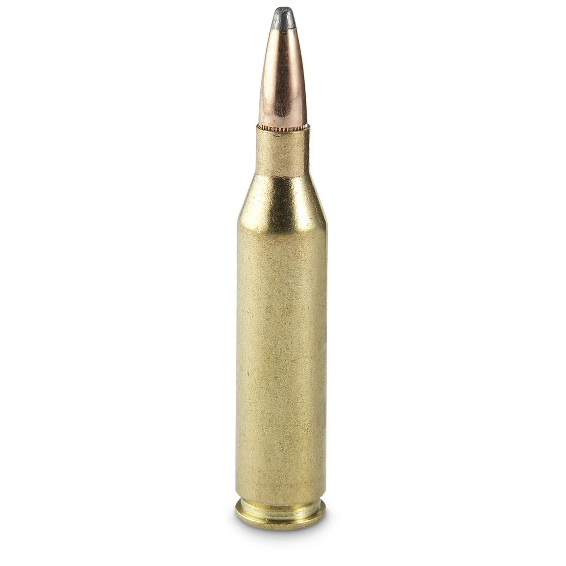 243 Winchester Genladning Danmark